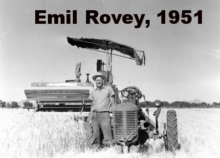 Q&A: Rovey Sees Sunnier Days Ahead for U.S. Dairy Exports