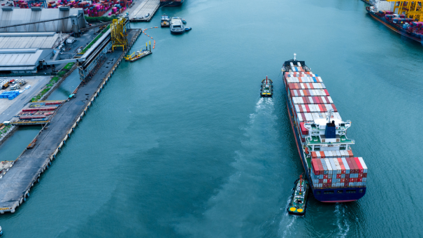 USDEC's plan to improve the flow of U.S. cheese and dairy ingredients ...